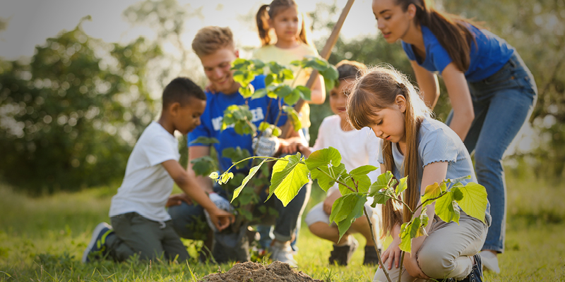 How to become a PVSA Certifying Organization (CO)